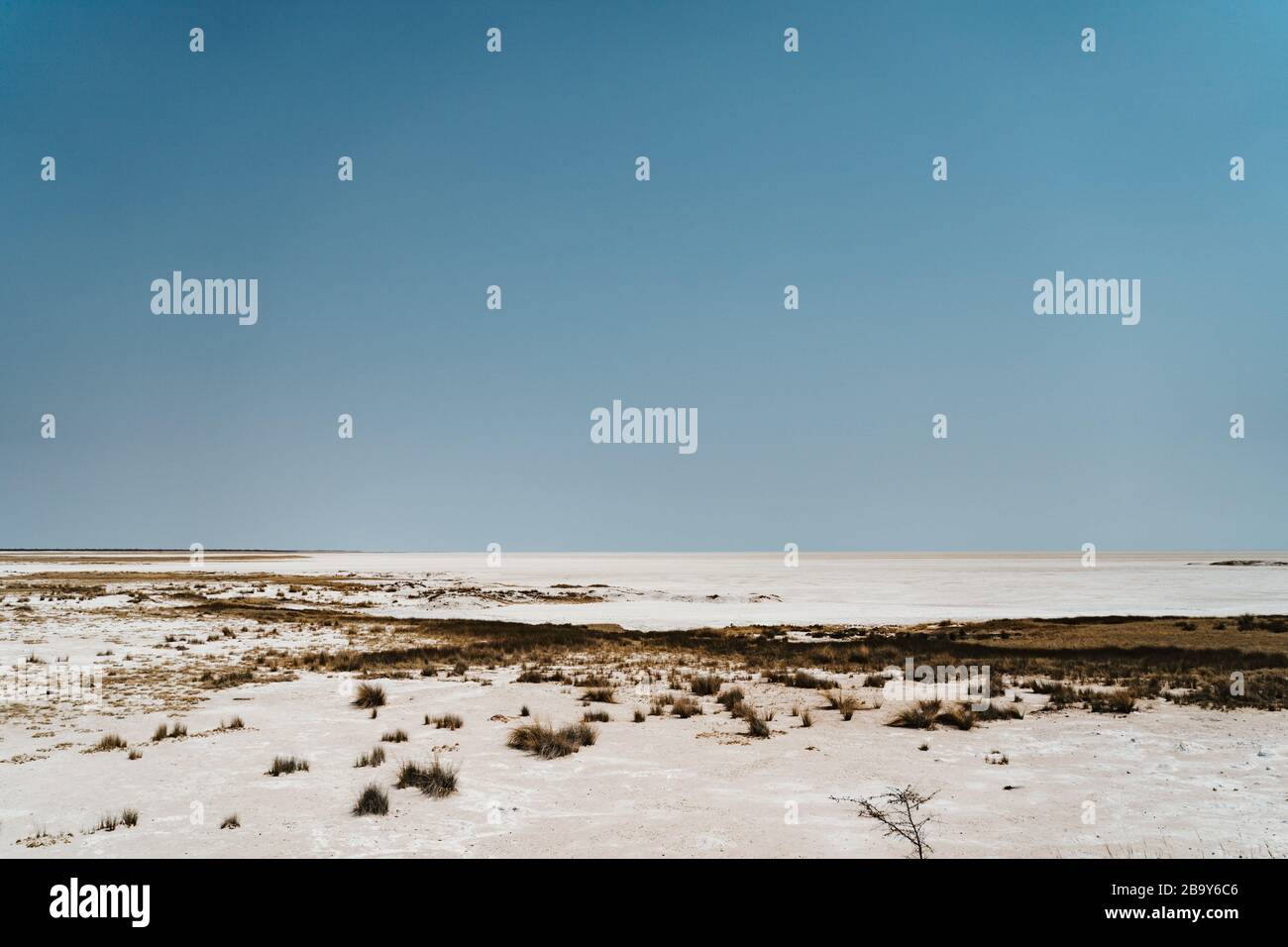 daytime desert landscape from famous Etosha pan in Namibia Stock Photo ...