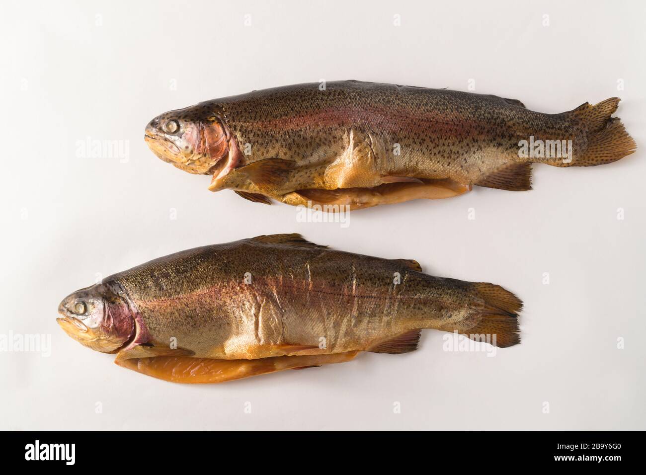 Golden rainbow trout hi-res stock photography and images - Alamy