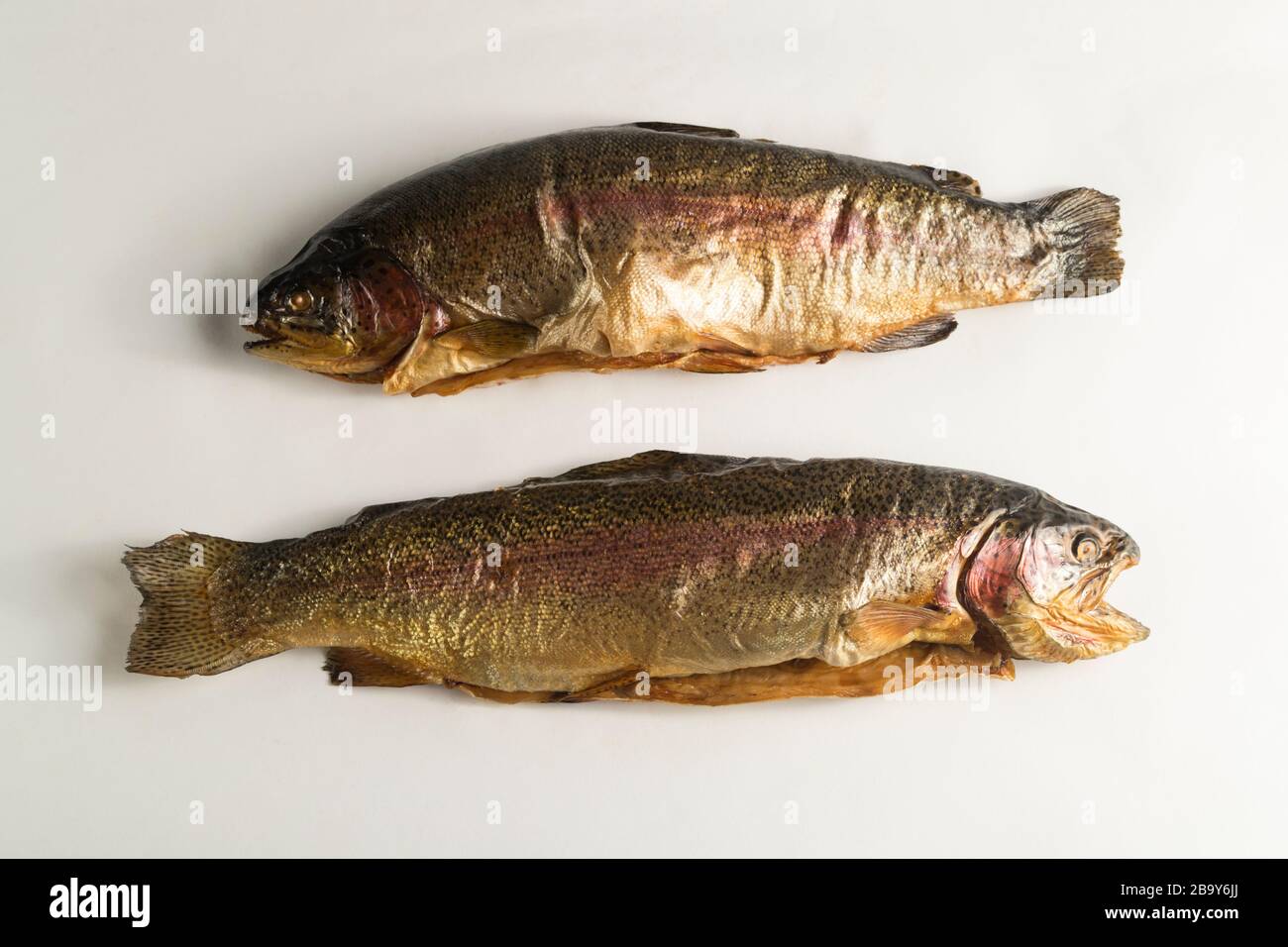 Cold smoked fish. River trout, rainbow, golden, lake, Karelian cold ...