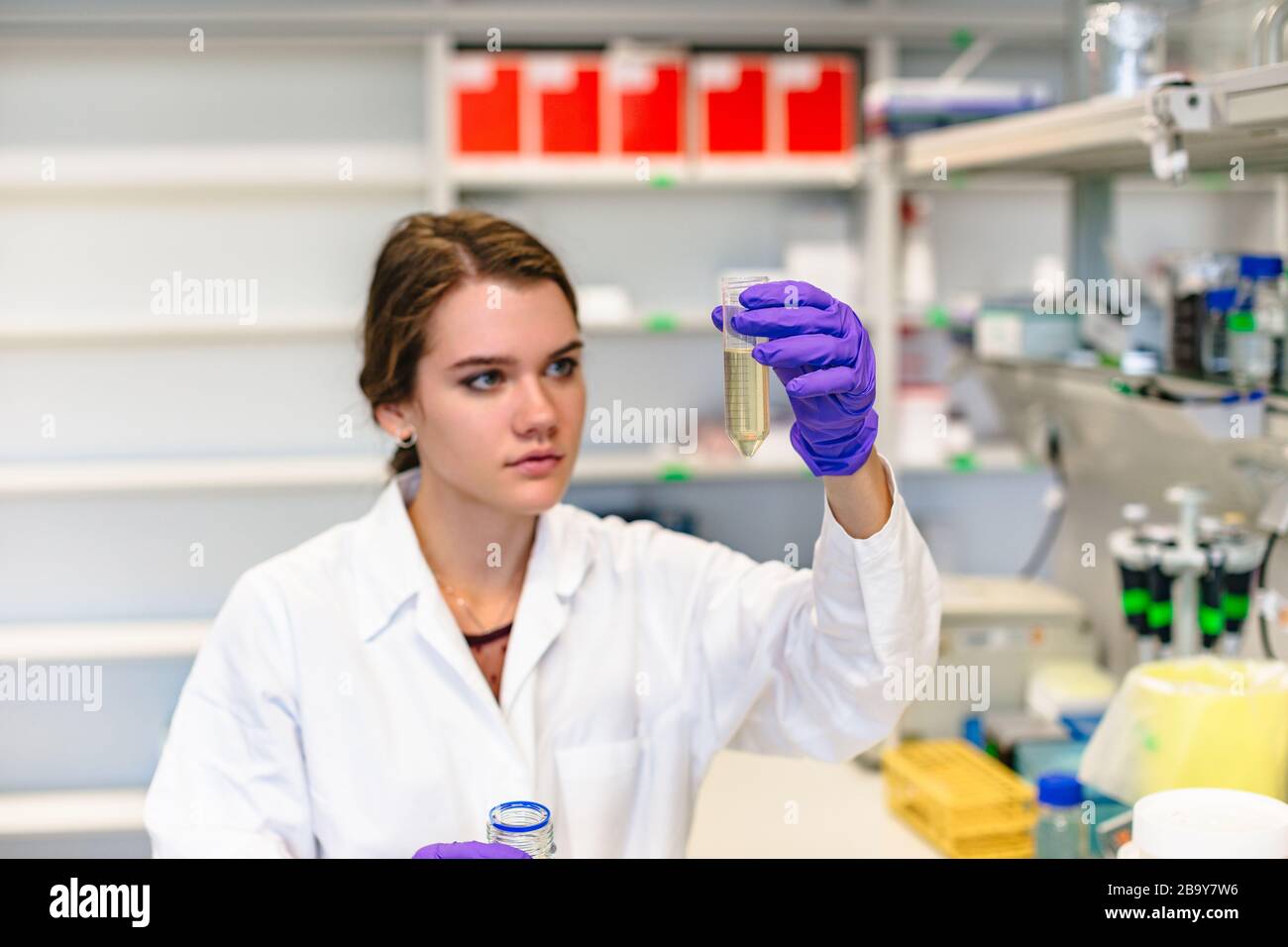 Female scientist holding flask with medicine in laboratory Stock Photo ...