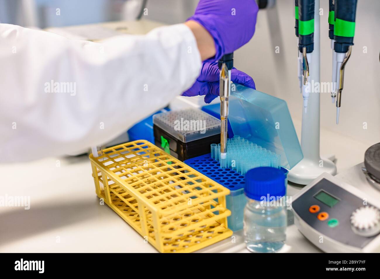Preparing sample box with test tubes by scientist Stock Photo - Alamy
