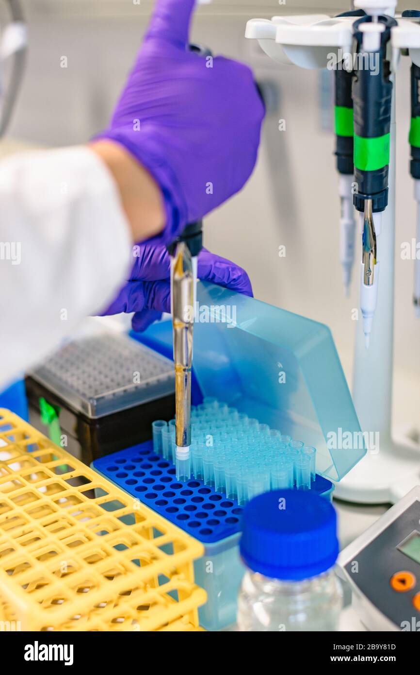 Preparing sample box with test tubes by scientist Stock Photo - Alamy