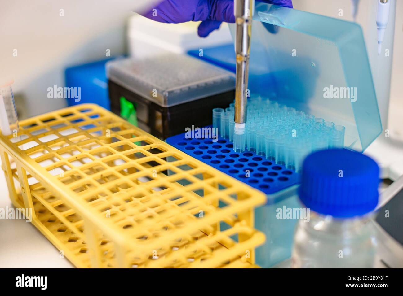 Preparing sample box with test tubes by scientist Stock Photo - Alamy