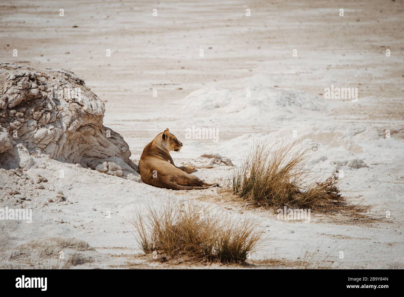 Dried out africa hi-res stock photography and images - Alamy