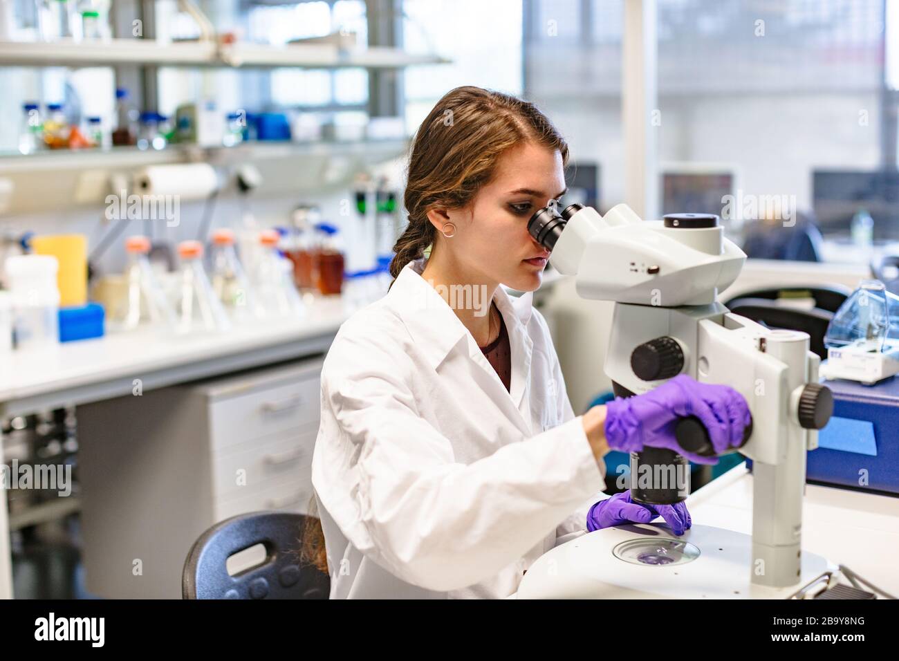 Scientist conducts study of biological material in lab Stock Photo - Alamy
