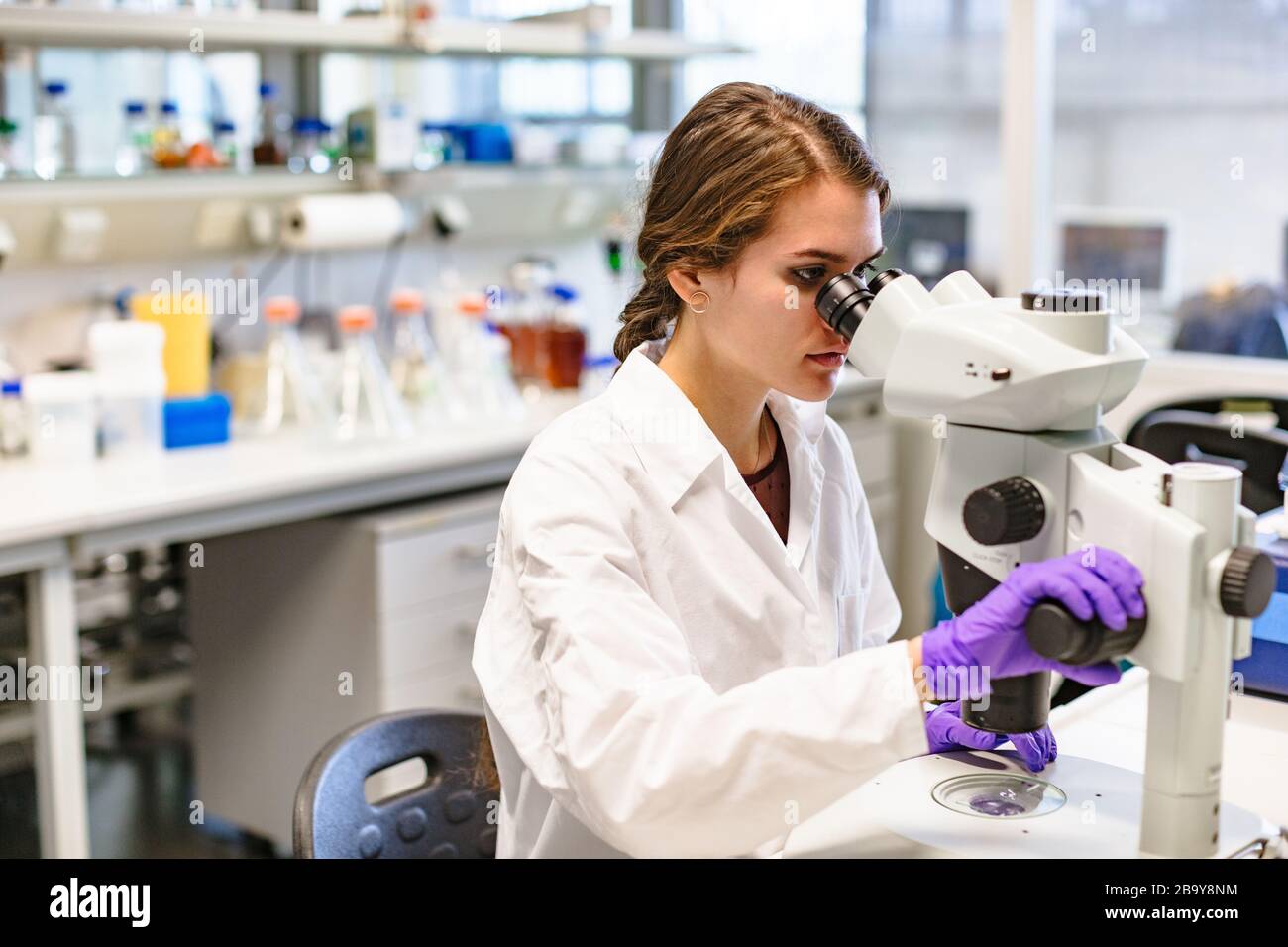 Scientists woman looking through microscope in lab Stock Photo - Alamy
