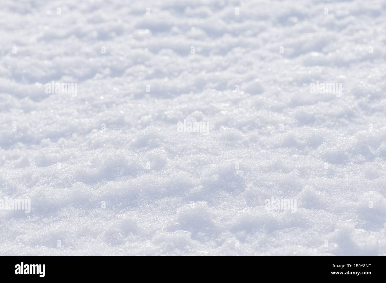 Snow white texture. Background of fresh snow Stock Photo - Alamy