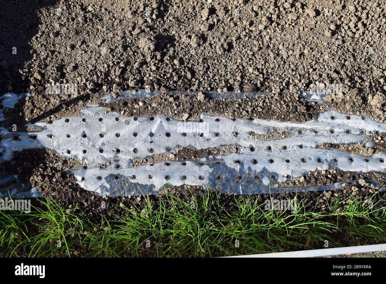 Early plantings hi-res stock photography and images - Alamy