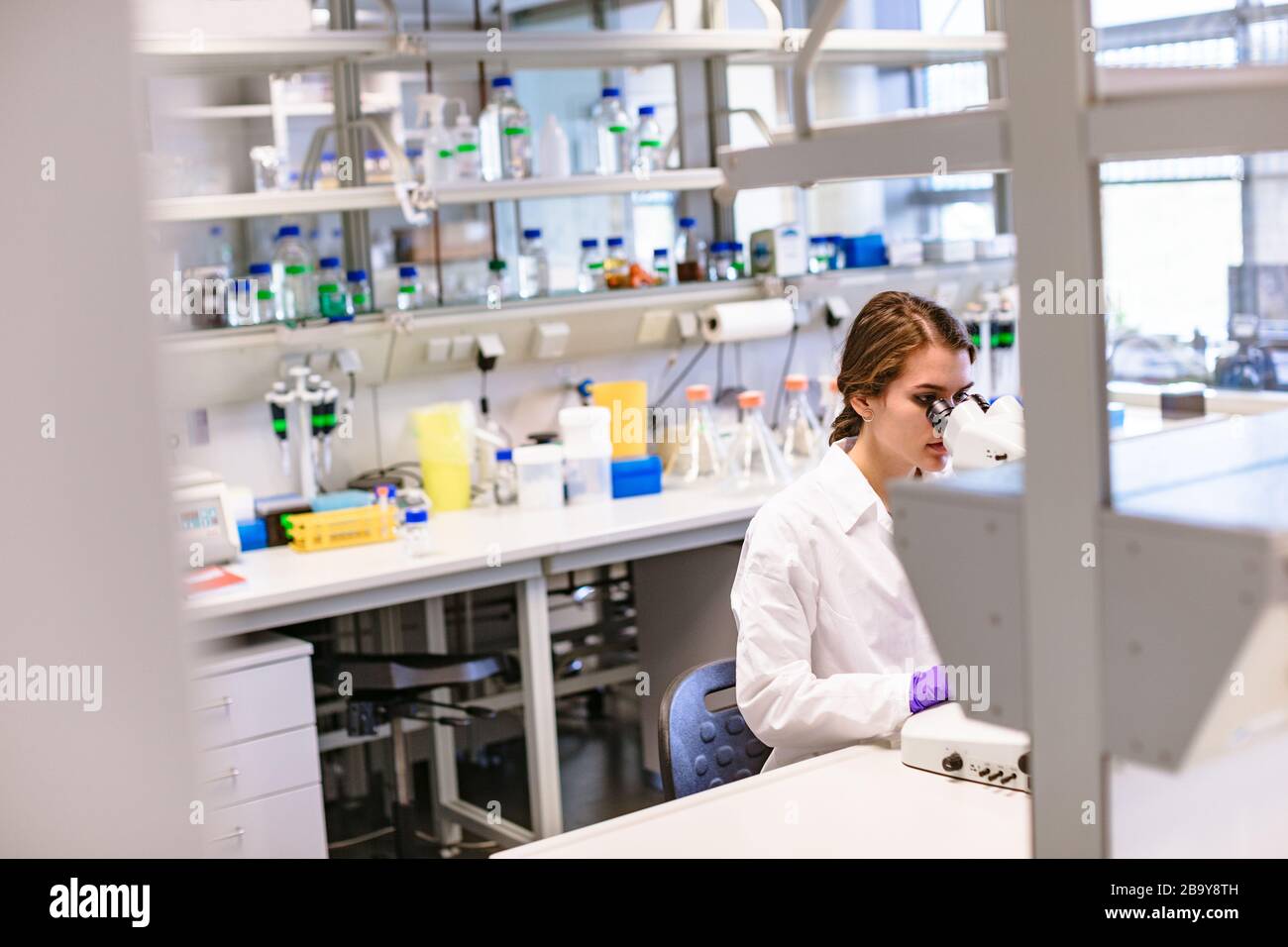 Scientists woman looking through microscope in lab Stock Photo - Alamy