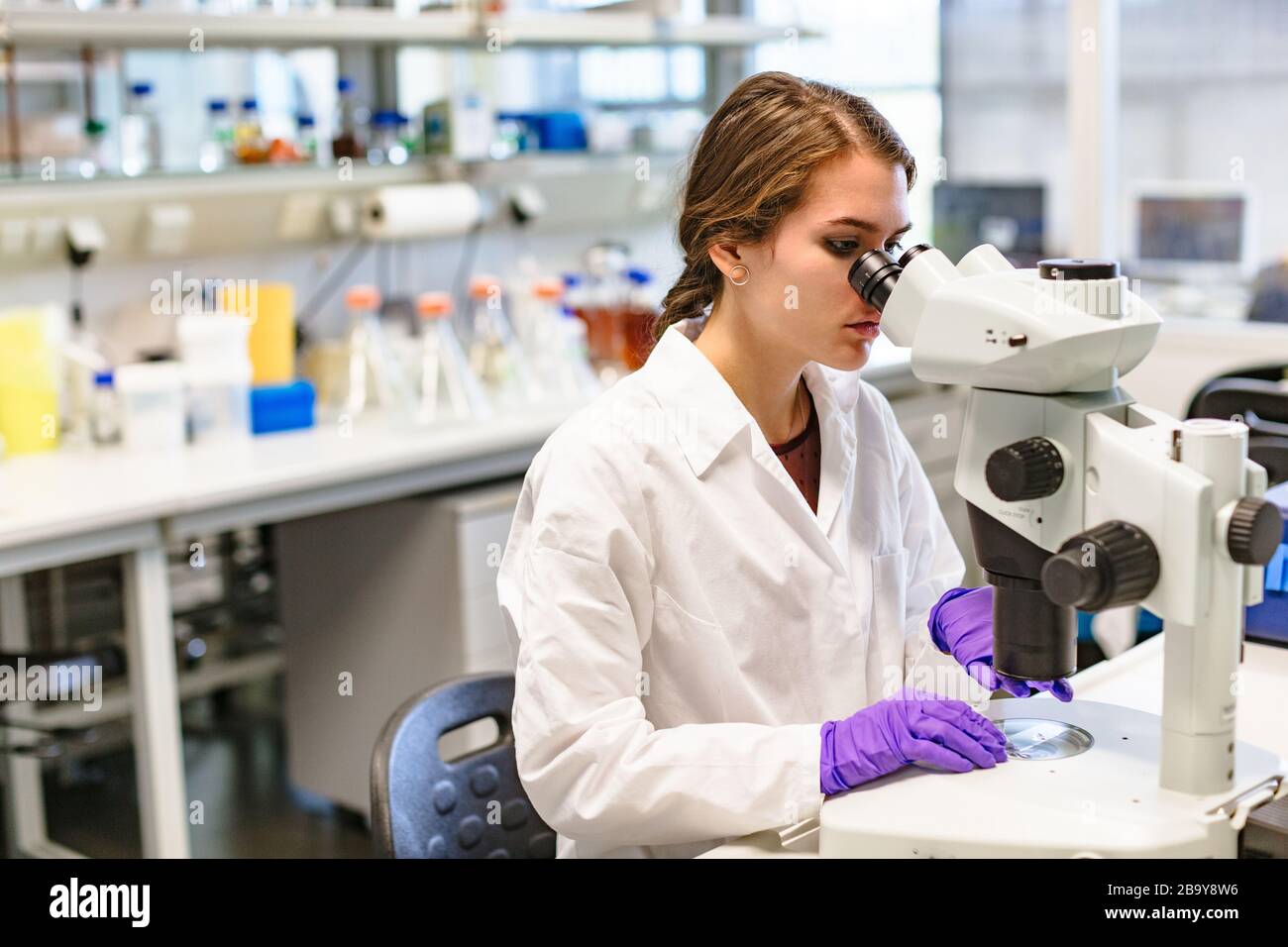 Scientists woman looking through microscope in lab Stock Photo - Alamy