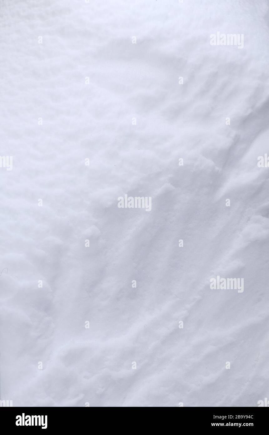 Background of fresh snow. Natural winter background. Snow texture in ...
