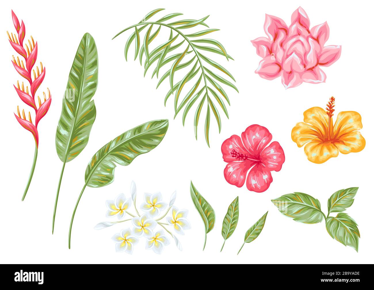 Spring frangipani flowers set Stock Vector Images - Alamy