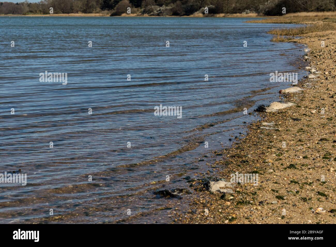 Global lock down due to Covid-19 has reduced the amount of pollution ...