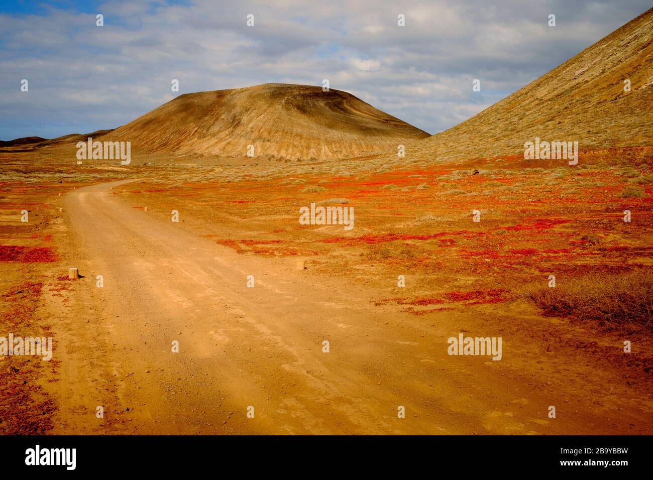 colorful path in a volcanic island Stock Photo - Alamy