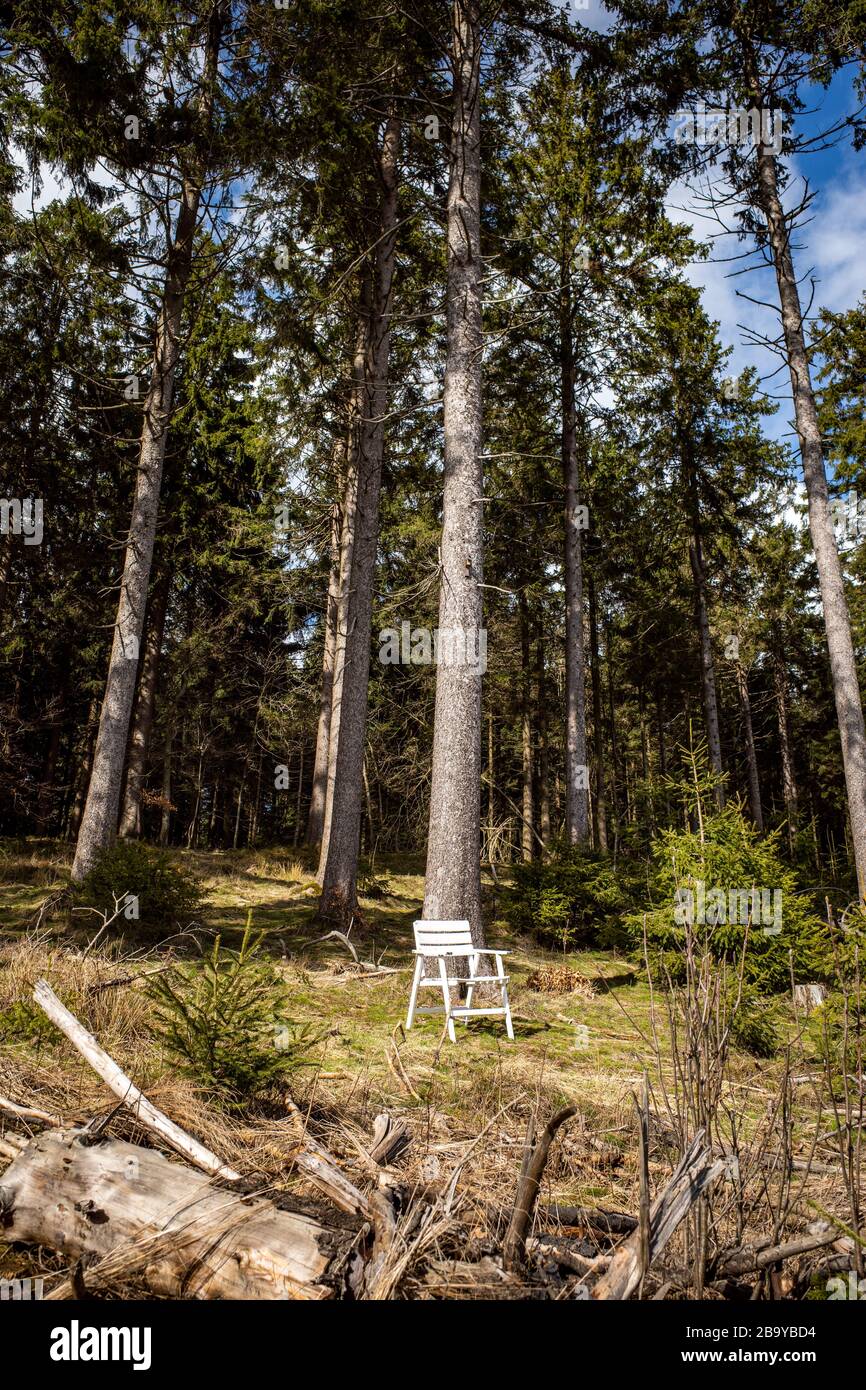 Chair in the forest hi-res stock photography and images - Alamy