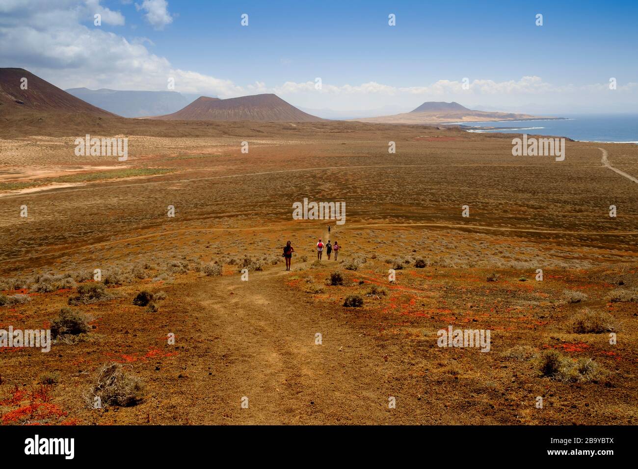 Top view desert landscape vegetation hi-res stock photography and ...