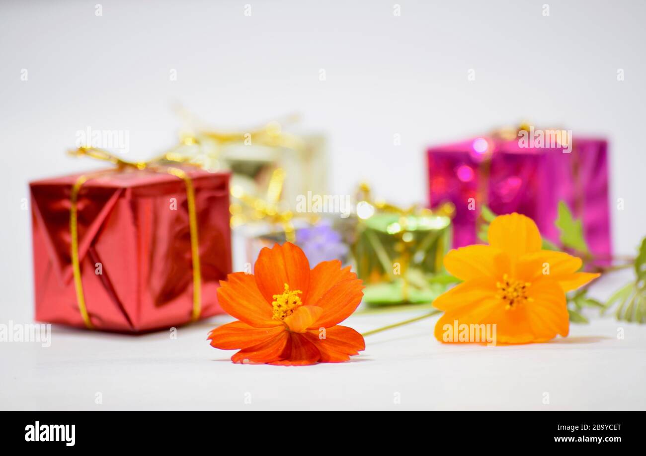 High key flower hi-res stock photography and images - Alamy