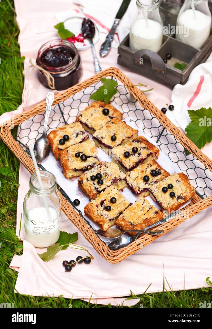 Blackcurrant and hazelnut crumble cake Stock Photo - Alamy