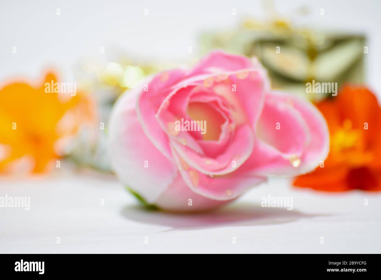 High key flower hi-res stock photography and images - Alamy