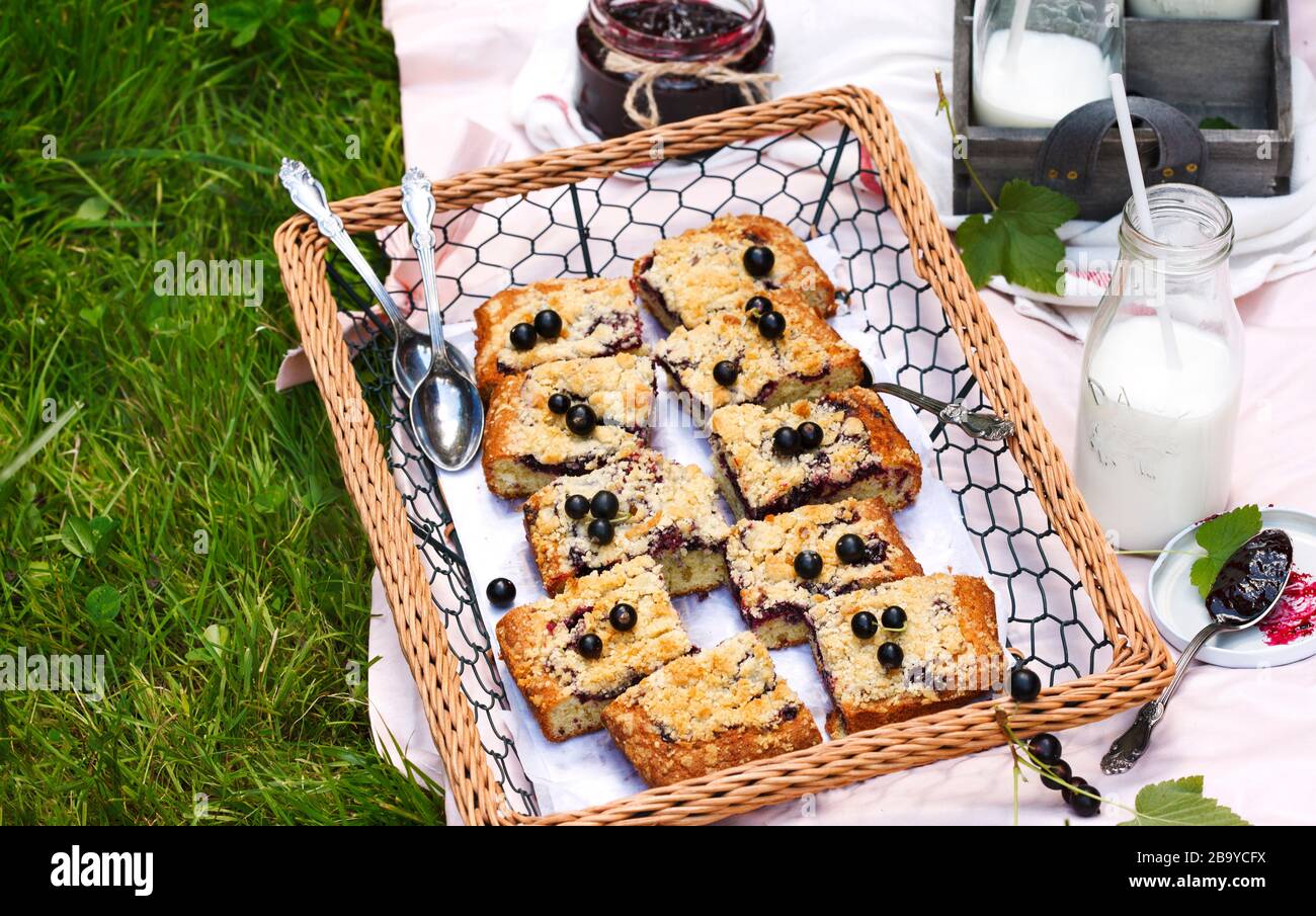 Blackcurrant and hazelnut crumble cake Stock Photo - Alamy