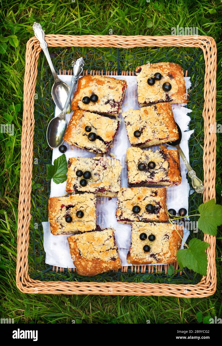 Blackcurrant and hazelnut crumble cake Stock Photo - Alamy