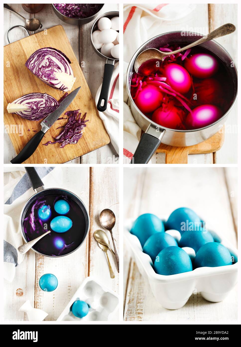 Red cabbage coloring Cut Out Stock Images & Pictures - Alamy