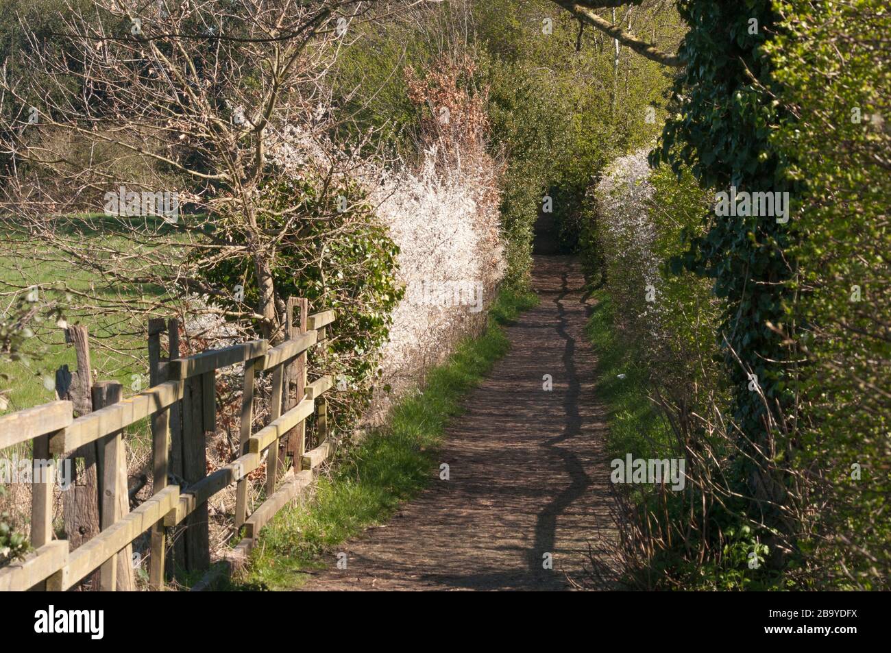 Footpaths england hi-res stock photography and images - Alamy