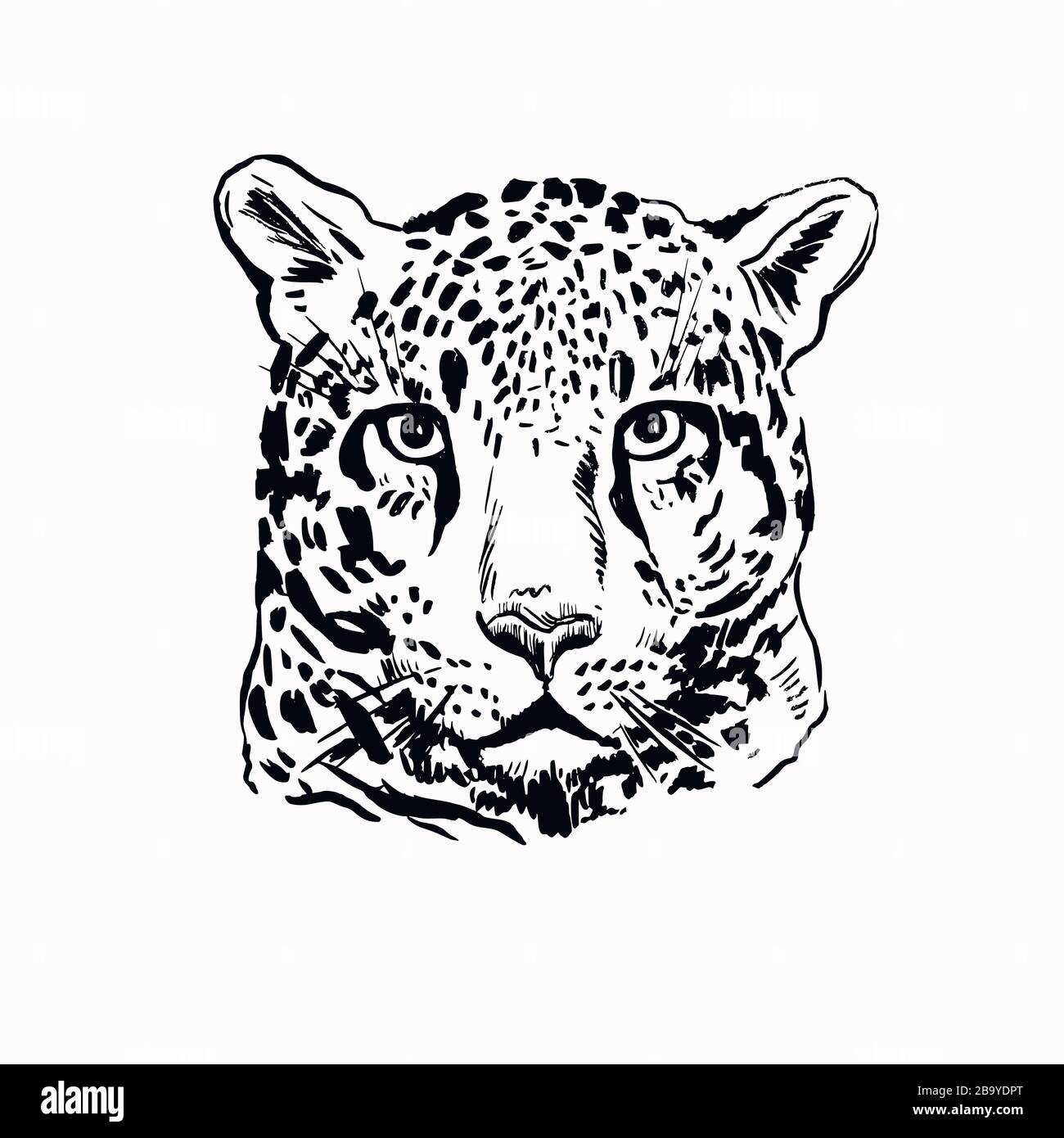 leopard head print Stock Vector Image & Art - Alamy