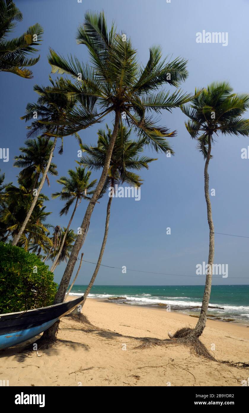Tangalle beach sri lanka hi-res stock photography and images - Alamy