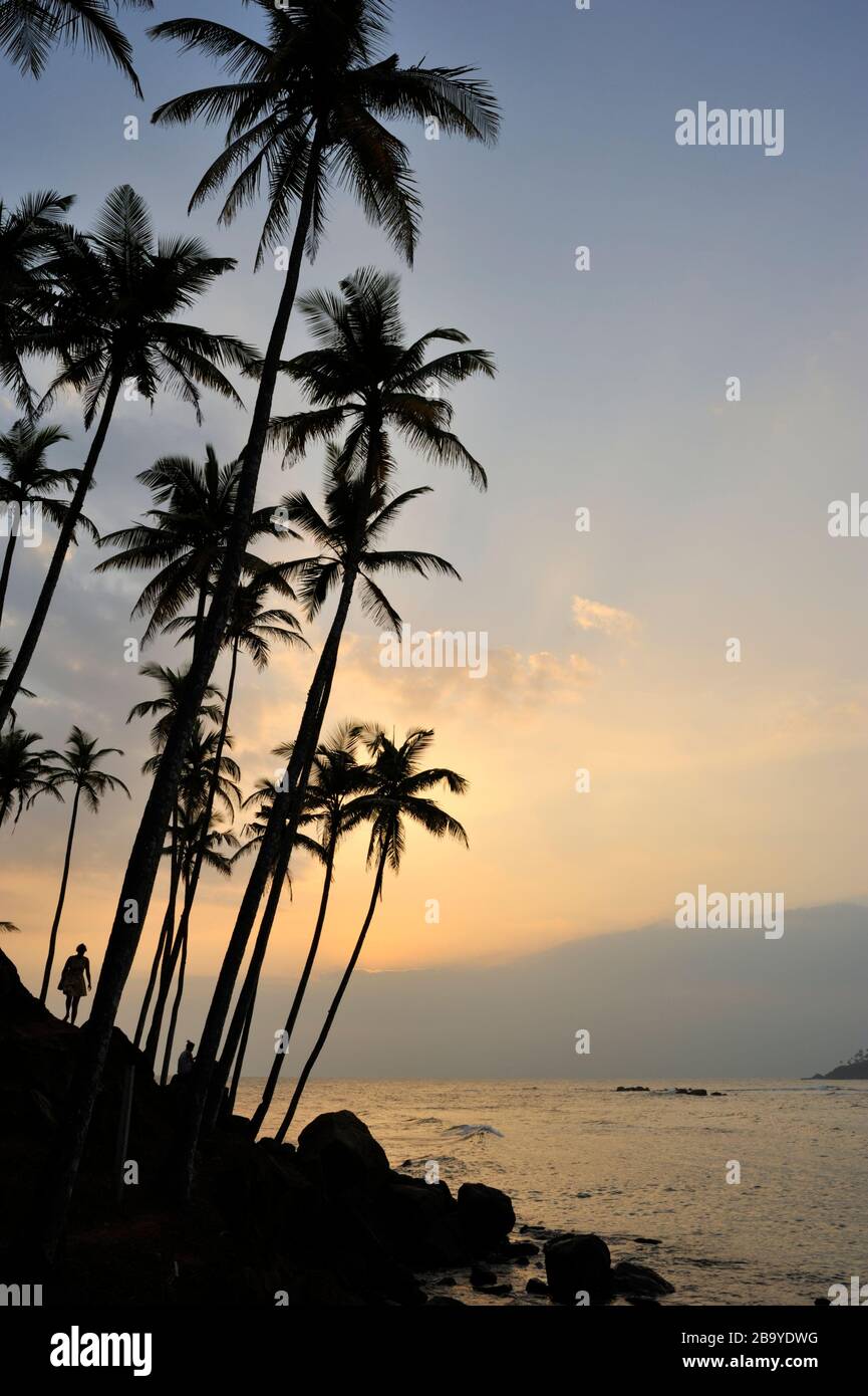 Sri Lanka, Mirissa, coconut tree hill at sunset Stock Photo - Alamy
