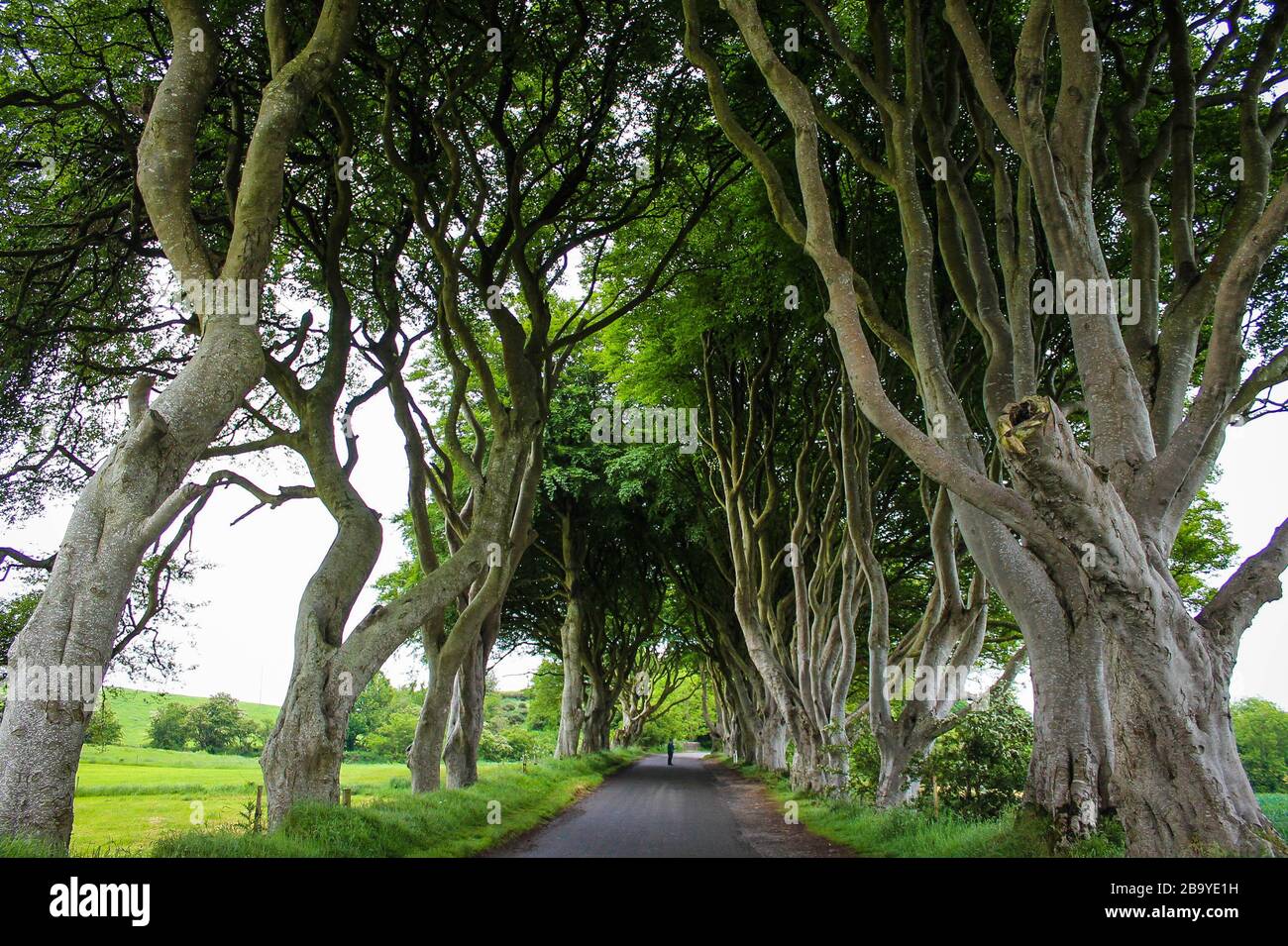 Ballymoney northern ireland hi-res stock photography and images - Alamy
