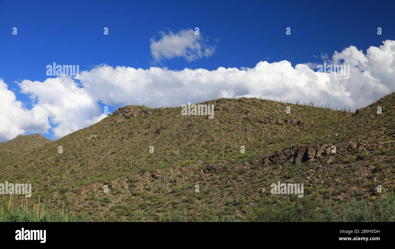 Rock formations in the Southwestern desert Stock Photo - Alamy