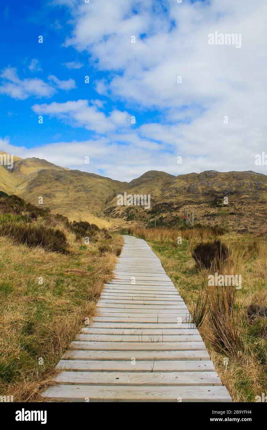 Wooden Path leading up to Glenfinnan Viaduct, Scottish Highlands, UK ...
