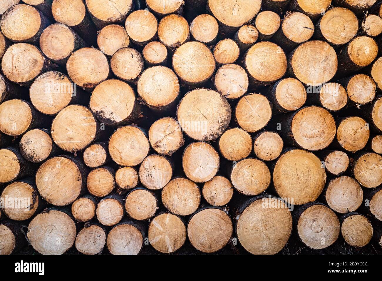 Stack many firewoods hi-res stock photography and images - Alamy