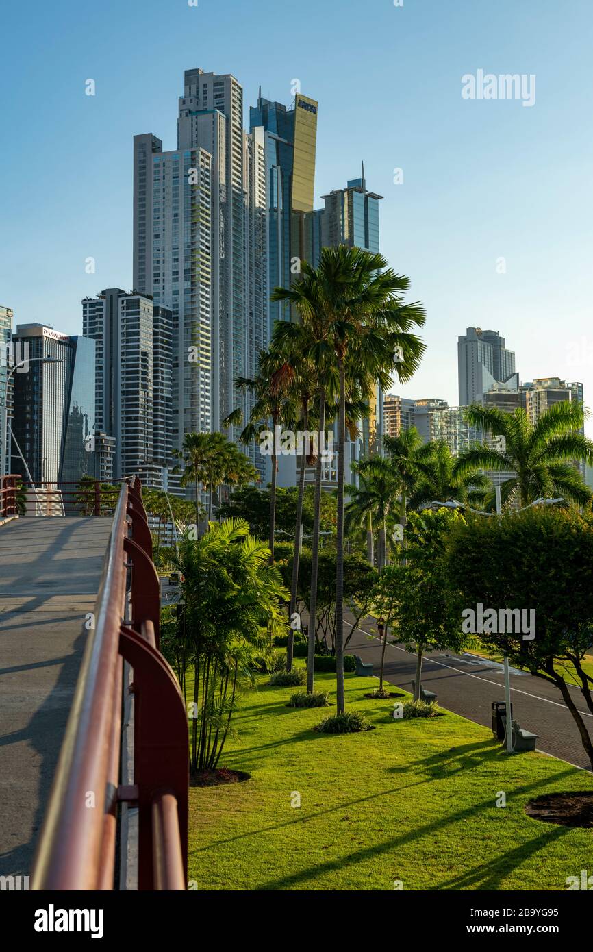 Balboa tree hi-res stock photography and images - Alamy