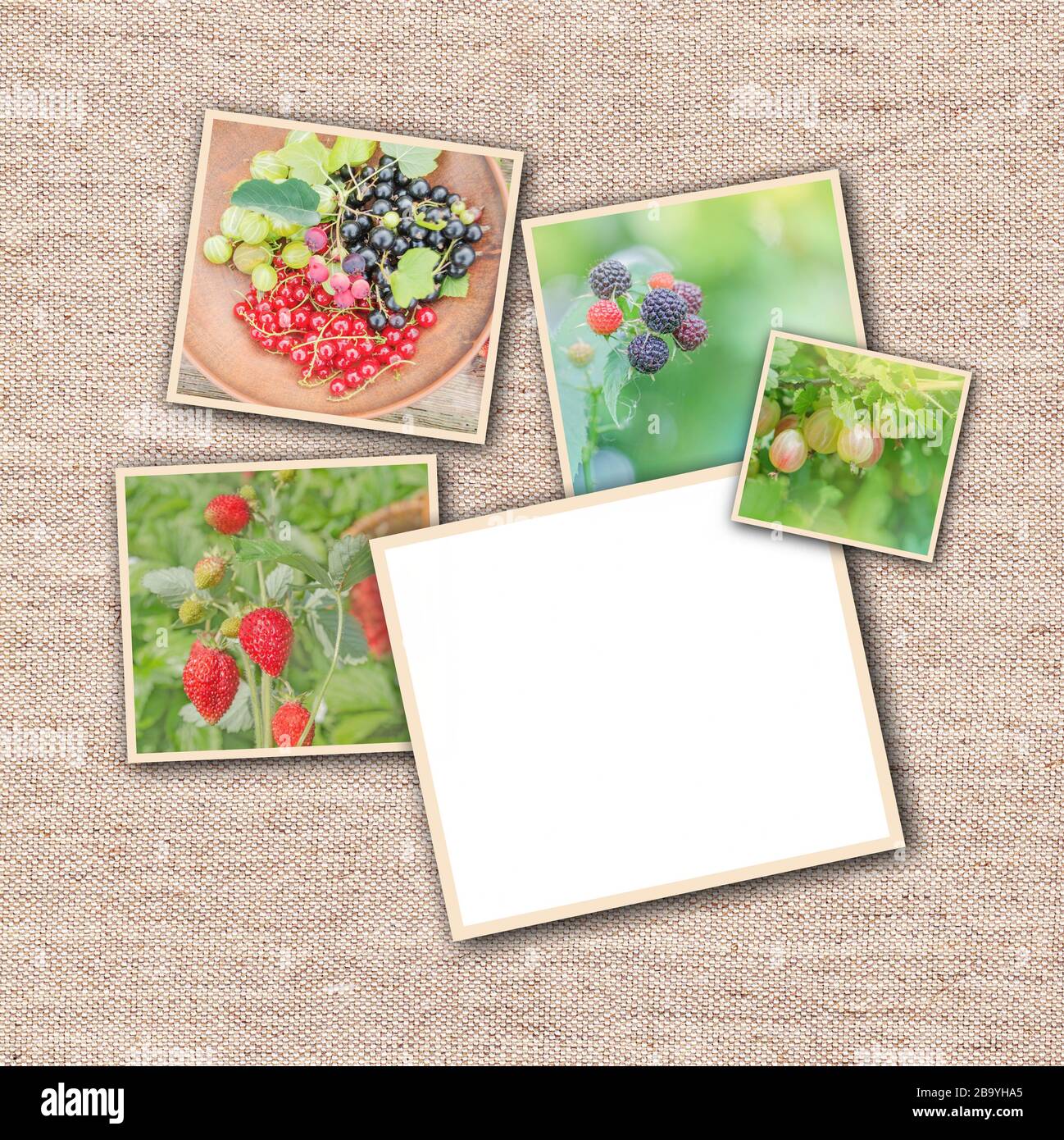 Collection with different berries. Healthy food background. Collage of ...
