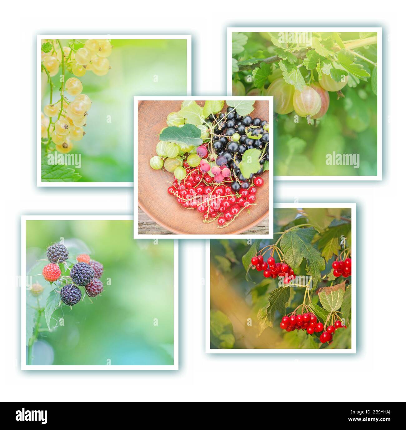 Collection with different berries. Healthy food background. Collage of ...