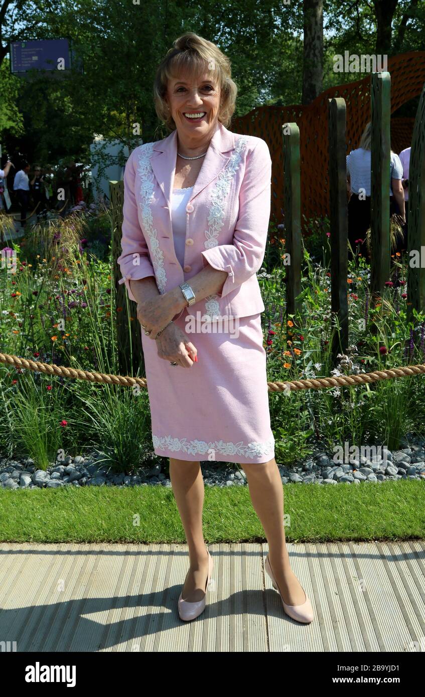 Esther rantzen hi-res stock photography and images - Alamy Esther rantzen hi-res stock photography and images - Alamy