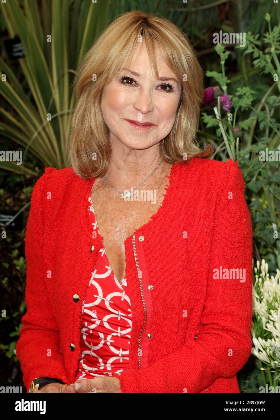 Felicity kendal hi-res stock photography and images - Alamy