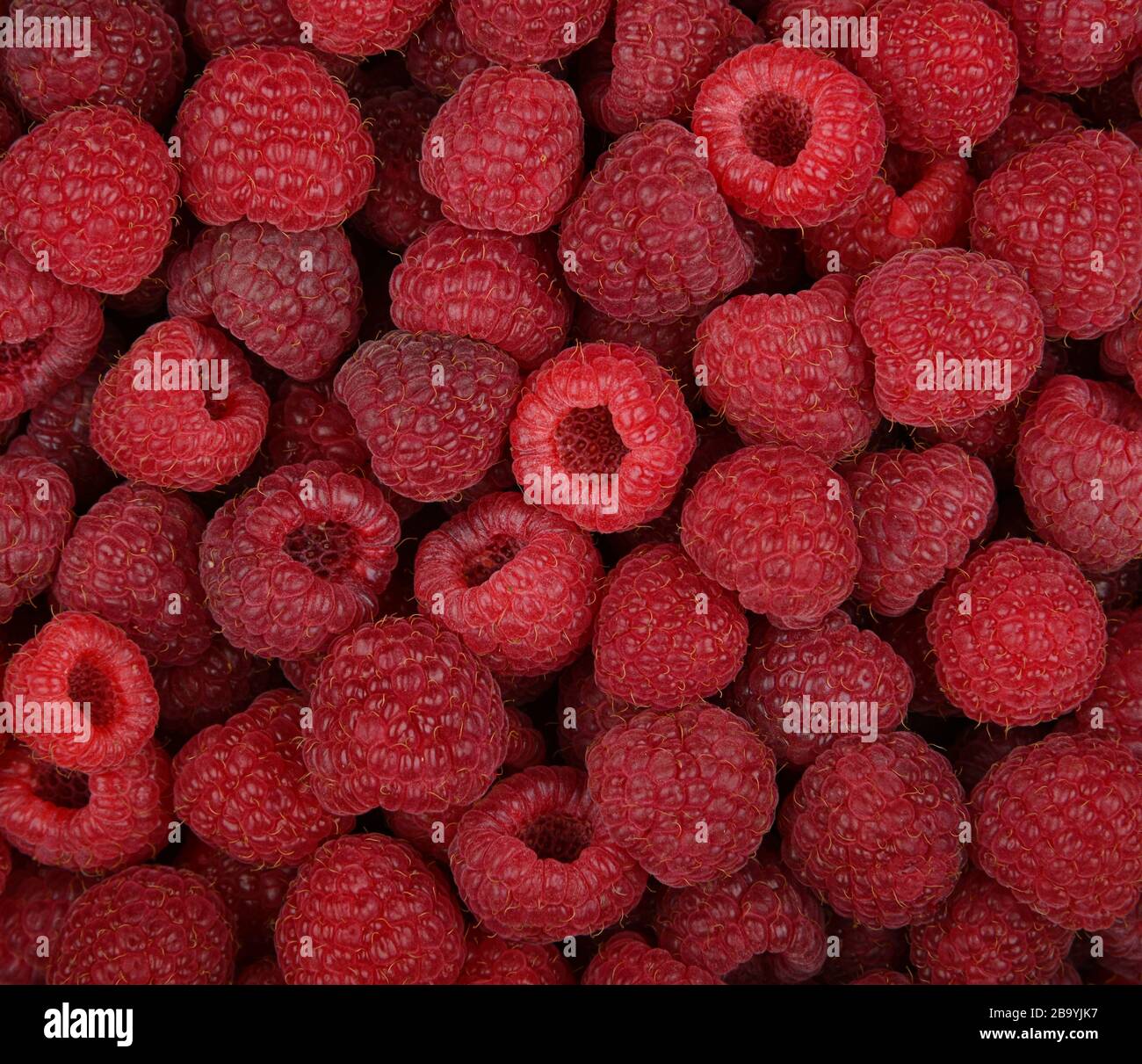 Close up background of fresh red ripe raspberry berries, elevated high ...
