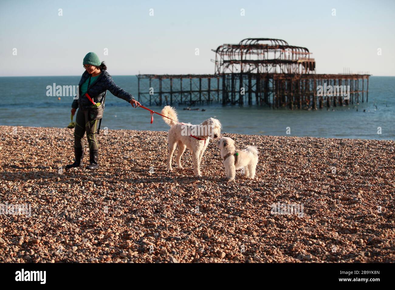Brighton beach dogs hi-res stock photography and images - Alamy