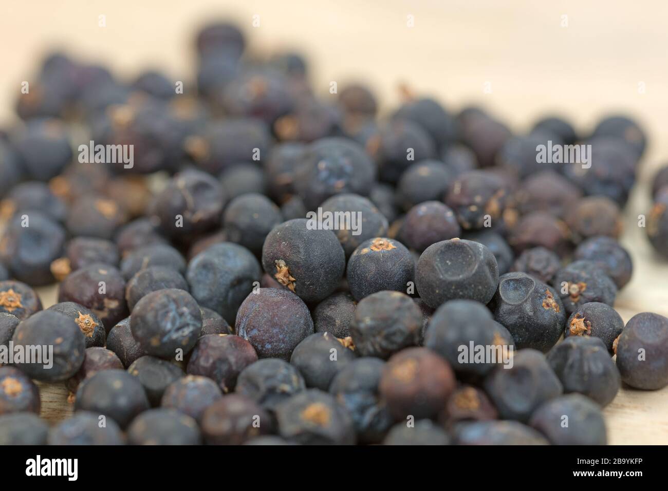 Juniper berries, Juniperus, in a close-up Stock Photo - Alamy