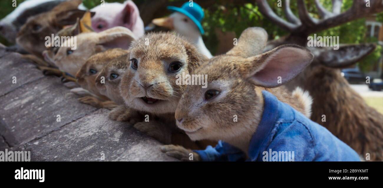 PETER RABBIT 2: THE RUNAWAY, from right: Peter Rabbit (voice: James ...