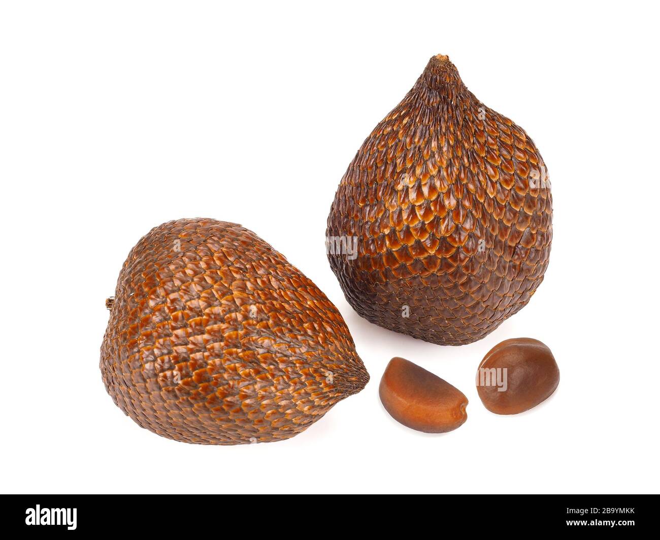 Salak fruit on tree hi-res stock photography and images - Alamy