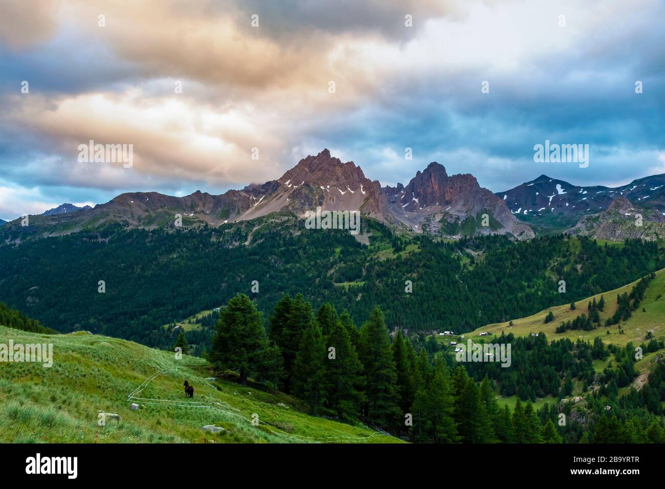 Crete du raisin hi-res stock photography and images - Alamy