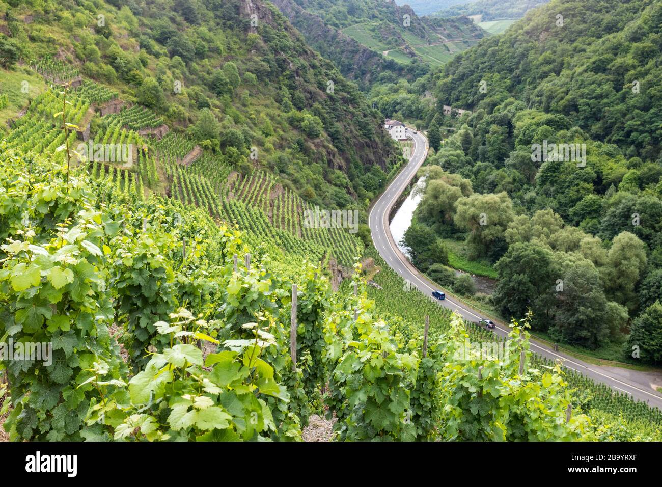 The winegrowing Ahr Valley area in Rhineland-Palatinate, Germany Stock ...
