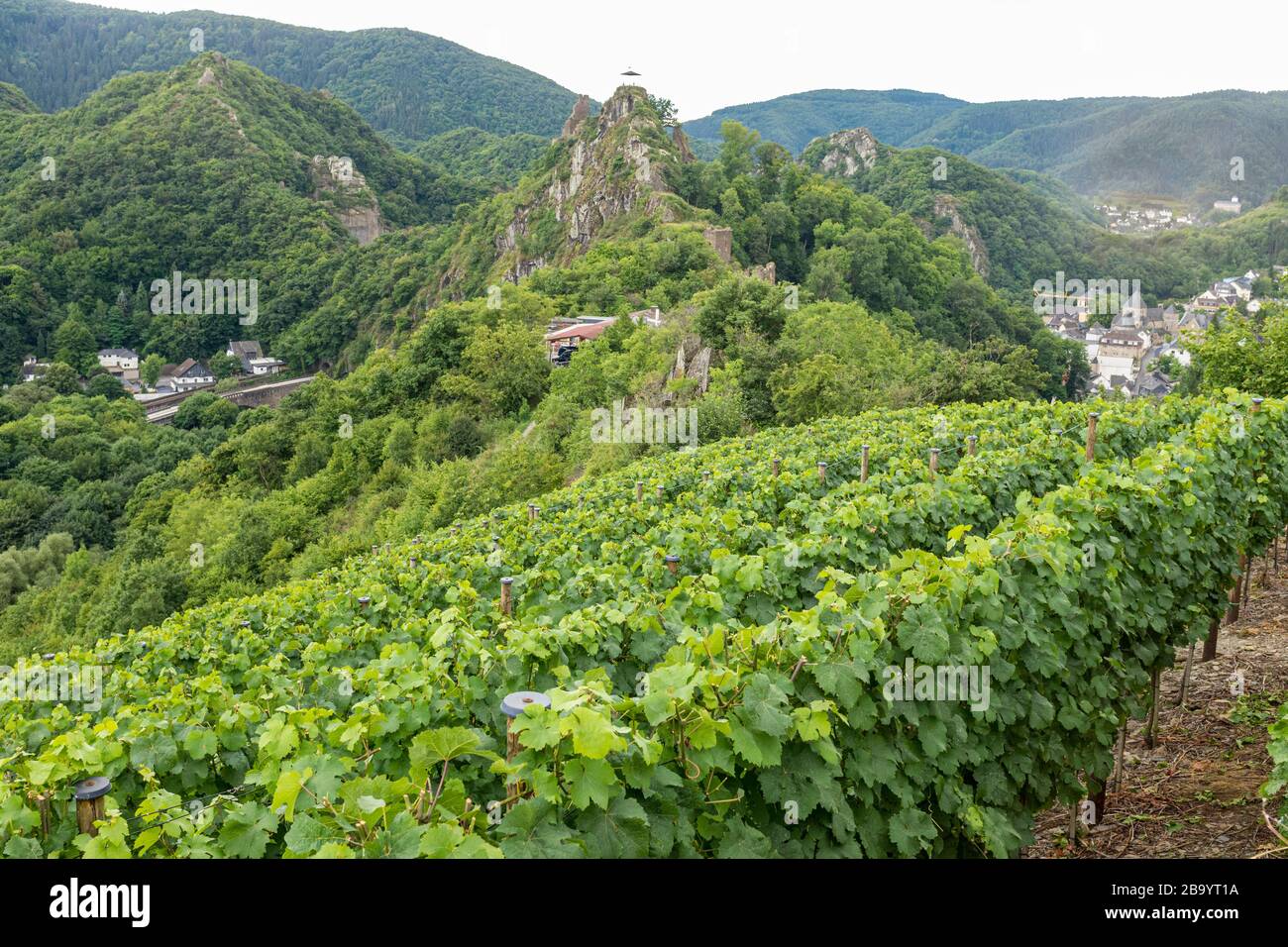Vineyards of the winegrowing Ahr Valley, known for its red wine ...