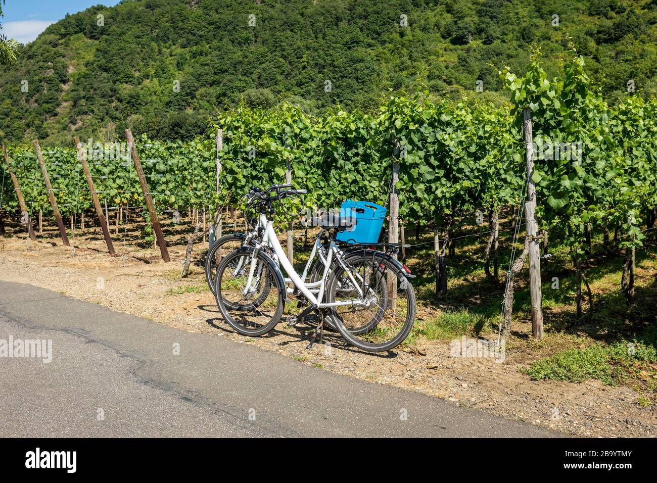 Cycling through vineyard hi-res stock photography and images - Alamy