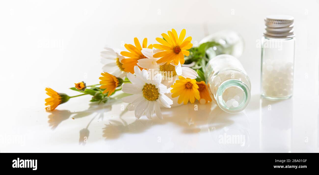 Alternative herbal medicine. Fresh wild yellow daisies flowers and ...