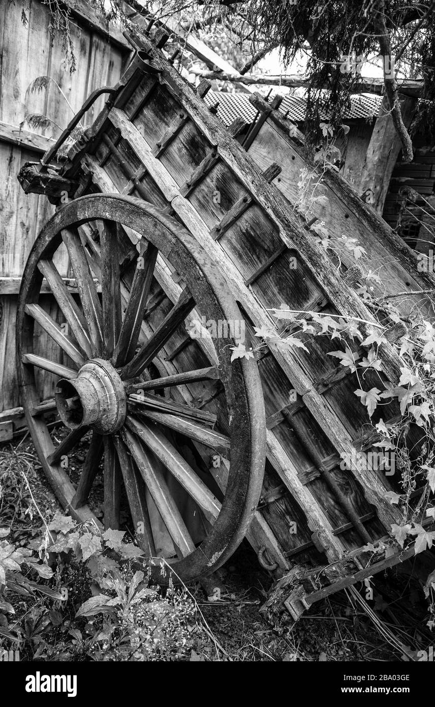 Old timber wagon Black and White Stock Photos & Images - Alamy